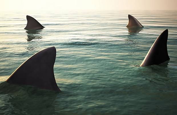 'It is good to be niche' :: Insurance Day