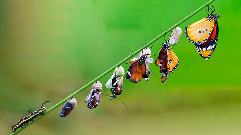 Emerging risks :: Insurance Day